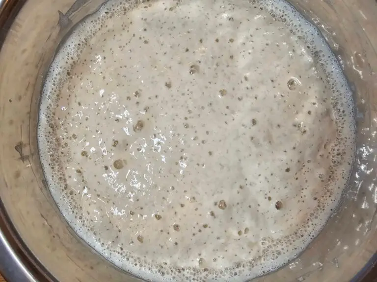 Lachuch Spongy Texture With Large Dense Holes - Easy Recipe