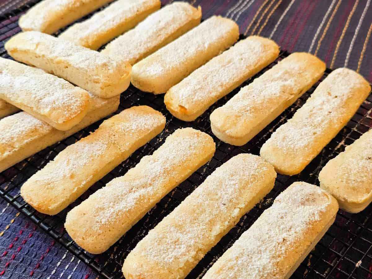 Vegan lady fingers, crispy on top, spongy inside, perfect for tiramisu